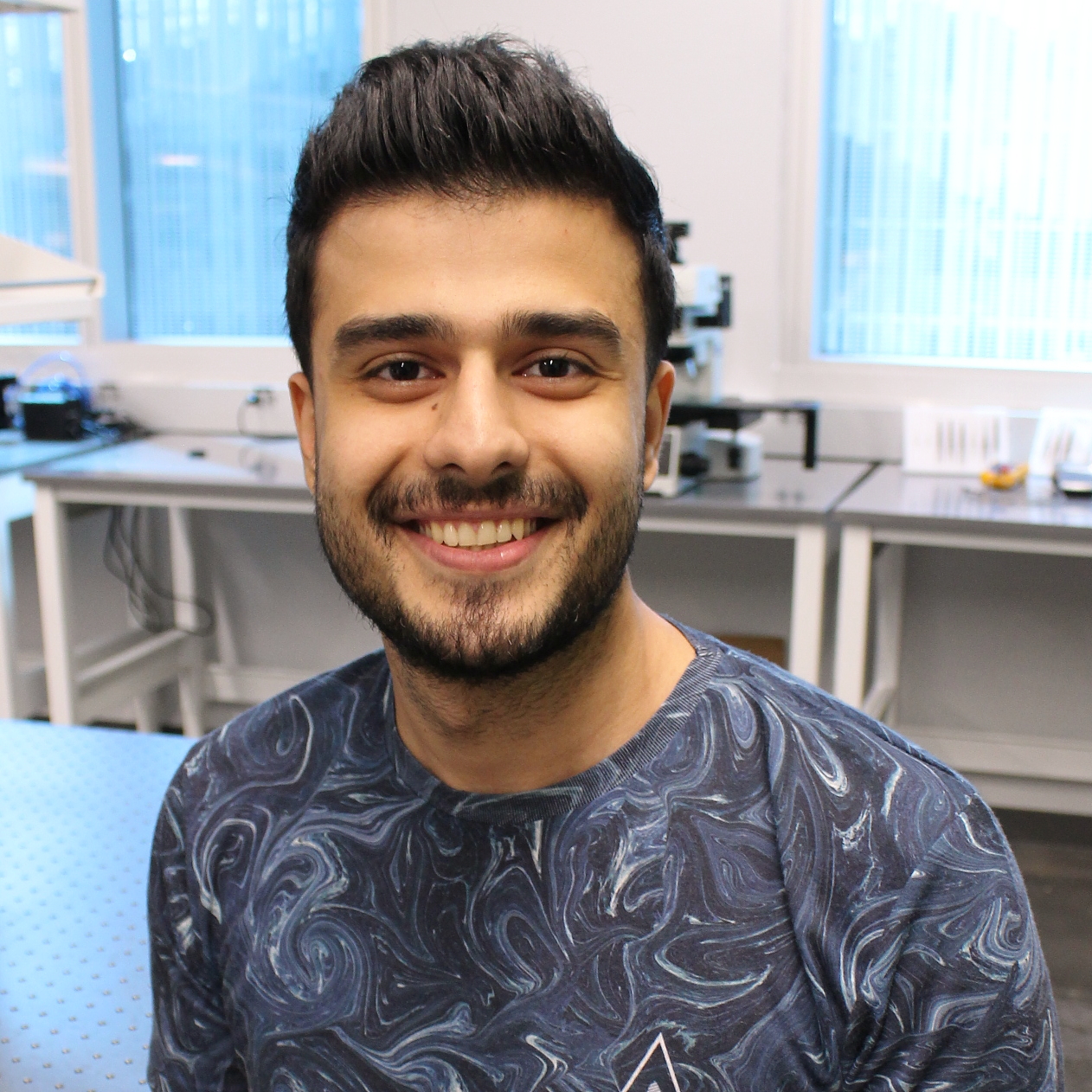 Diyako Dadkhah - Laboratory for Dynamics and Control of Nanosystems